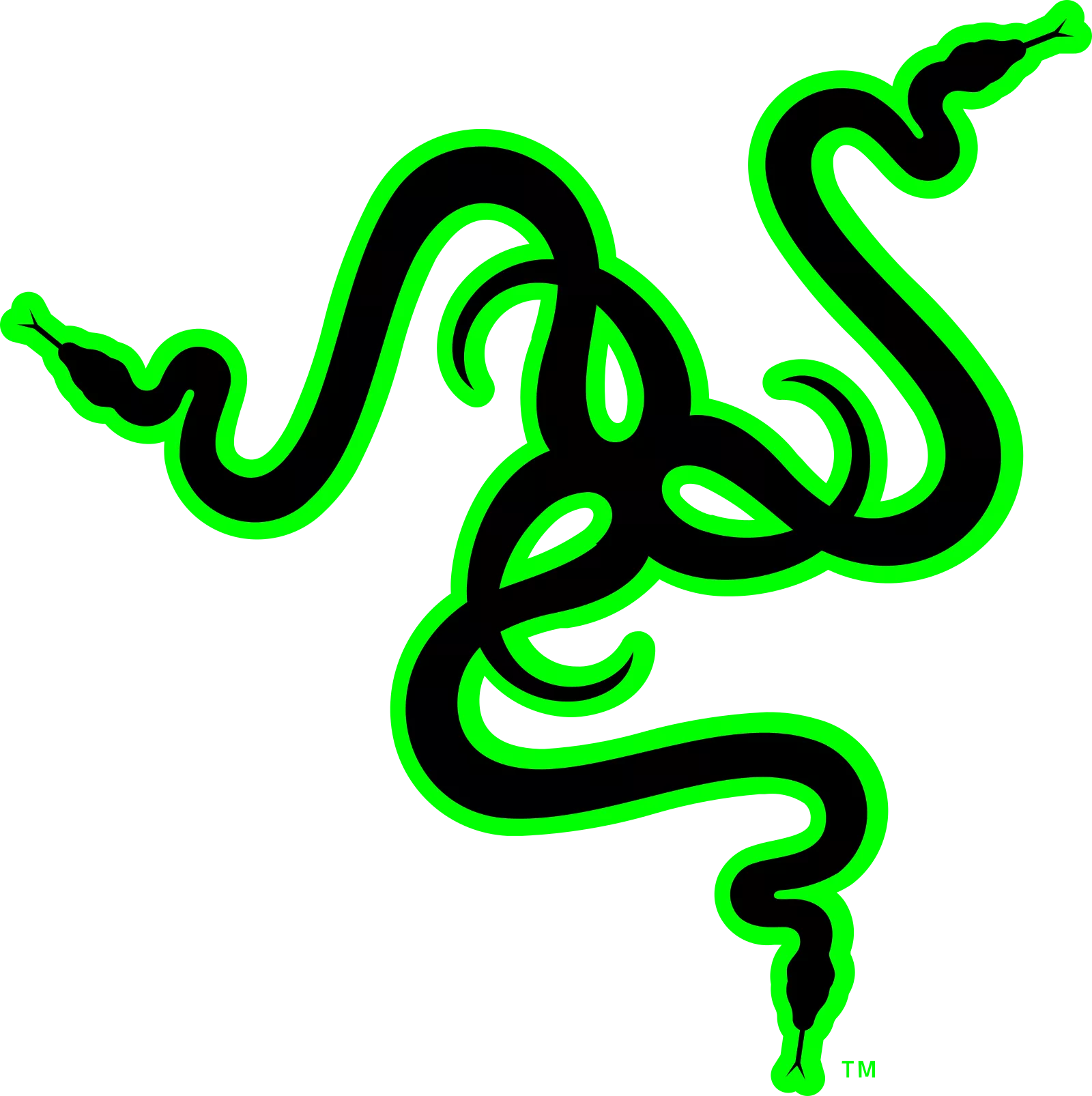 מצלמת רשת Kiyo מבית RAZER | Chooz